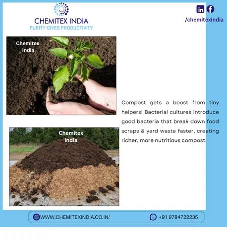 Liquid Bacterial Culture For Compost Bottle 250 Gm At Rs 600kg In Udaipur