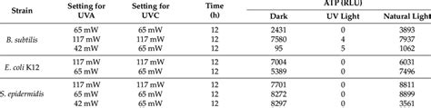 Atp Measurements Were Taken For B Subtilis E Coli K12 And S