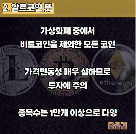 알트코인 뜻 종목 종류 한눈에 알아보기 플팍스plpax