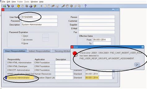 Oracle Database And Oracle Apps Fndcantinsertuserrole When