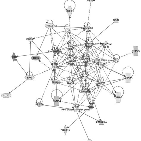 pathway analysis using ingenuity systems software major network