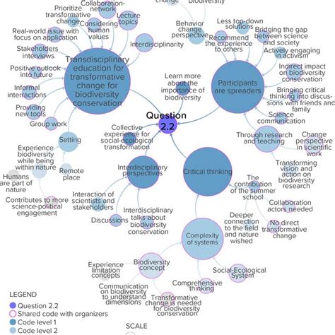 Visualization Of The Coding Structure For Sq1 By The Participants With Download Scientific