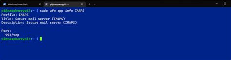 UFW Firewall Raspberry Pi Installation 2023 SecureBits