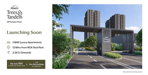 Assetz Trees And Tandem