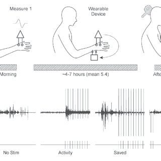 Overview Of Experimental Design A Subjects Visited The Laboratory Download Scientific