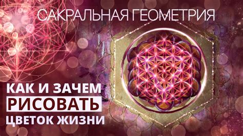 КАК И ЗАЧЕМ РИСОВАТЬ ЦВЕТОК ЖИЗНИ САКРАЛЬНАЯ ГЕОМЕТРИЯ ПОДРОБНЫЙ УРОК Youtube