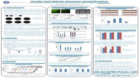 Single Cell Whole Genome Amplification Poster Technology Networks