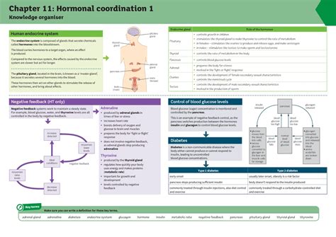 Third Space Learning Transformations Gcse Worksheet Gcse Maths Revision Geometry And Measure