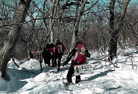설 악 산 게 시 판 설악산 실종 40대 등산객 50여일 만에 숨진 채 발견[연합뉴스]