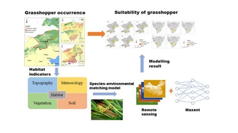 Remote Sensing Free Full Text Spatiotemporal Distribution And Main Influencing Factors Of
