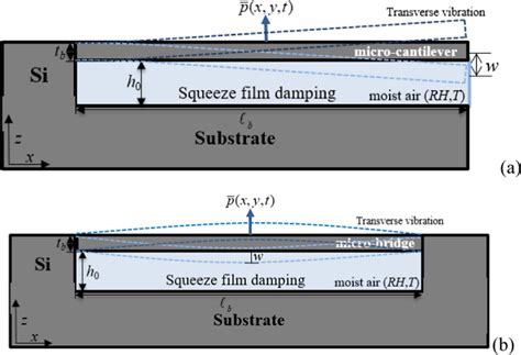 Dynamic Transverse Vibration Of A Micro Cantilever Beam And B Download Scientific Diagram