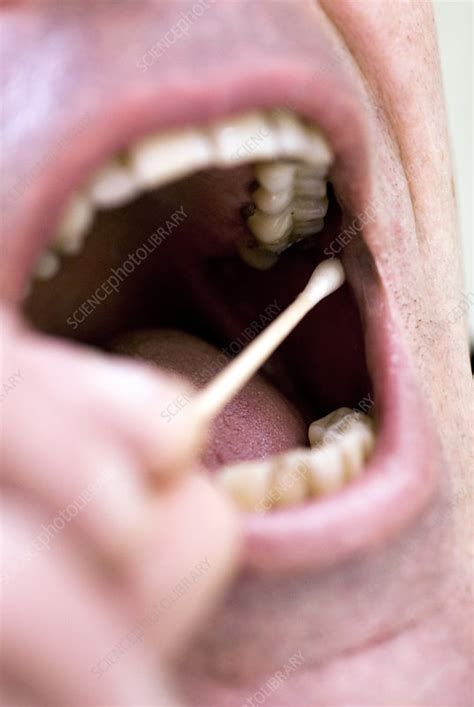 Paternity Testing Stock Image G Science Photo Library