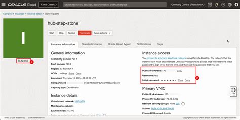 在 Oracle Cloud Infrastructure 中部署 Windows 实例