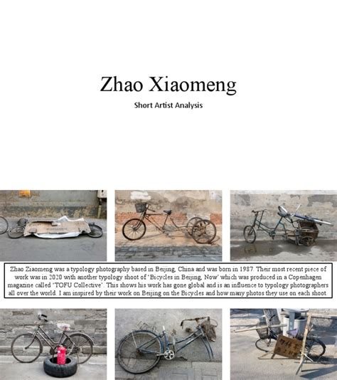 Zhao Xiaomeng Short Analysis Pdf