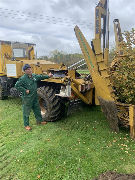 Tree Moving Nature First Trees Semi Mature Trees