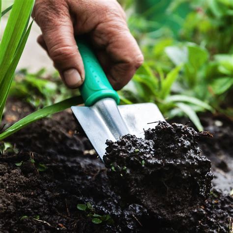 Getting The Right Soil And The Best Soil Amendments For Your Garden Or Potted Plants Can Mean
