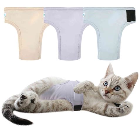 Paw Legend Cat Diapers For Female Cats Diaper For Male Cat Spraying