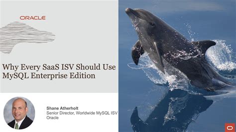 Mysql Databases For Beginners Sqlblogcasts