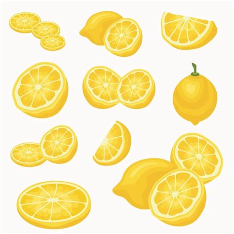 Premium Vector Lemon Vector Collection