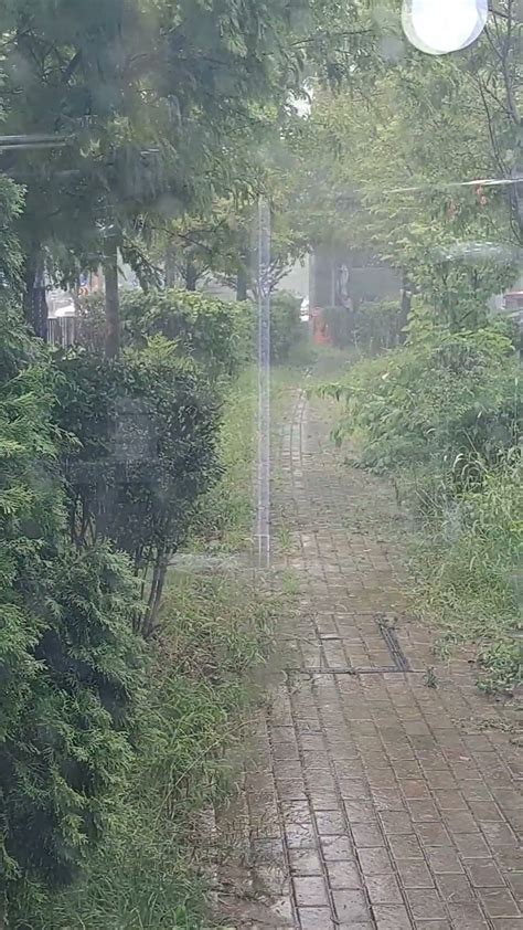 강릉 물절약현수막 갈색우산 가뭄 해소되길~~ Youtube