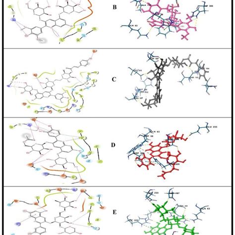 2d Amino Acid Interactions Of Top Scoring Compounds With α Amylase A