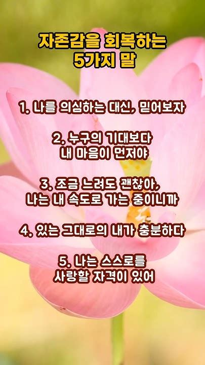 자존감을 회복하는 5가지 말 명언쇼츠 명언 마음의소리로쓰는글 좋은글 긍정의말 Youtube
