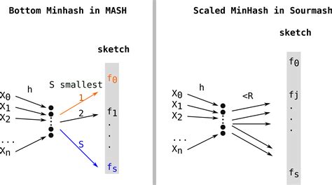 sketching for set comparison in bioinformatics camille marchet kamij maʁʃɛ