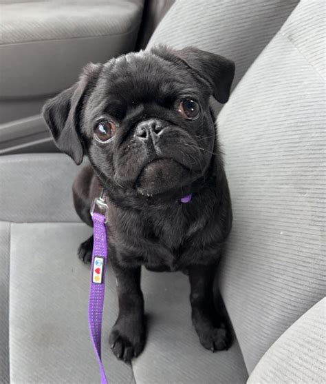 Lyla Fit U Lyla Fit Reddit