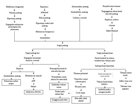 Pathway Chf