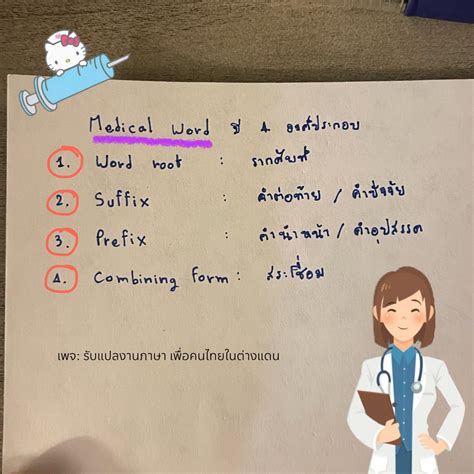 เรียนต่ออเมริกา Medical Terminology ศัพท์ทางการแพทย์ 🇹🇭🇺🇸 เริ่มต้น