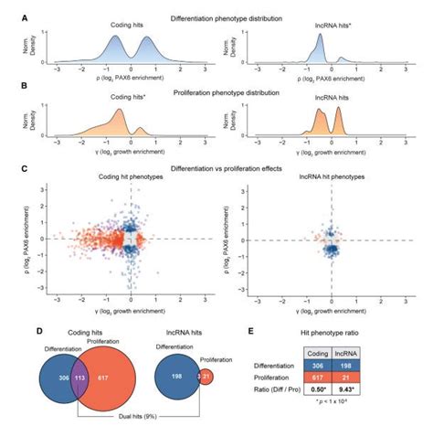 Dual Genome Wide Coding And Lncrna Screens In Neural Induction Of