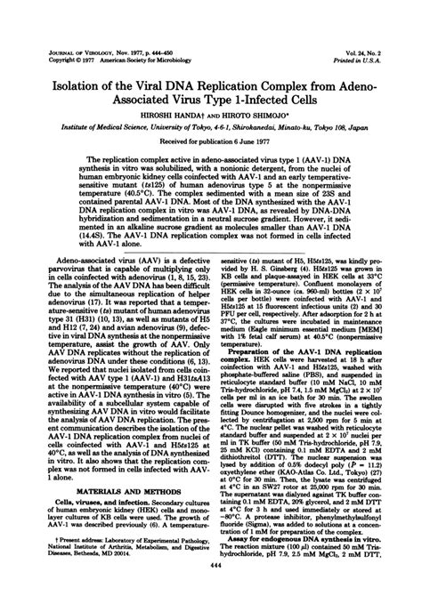 Pdf Isolation Of The Viral Dna Replication Complex From Adeno Associated Virus Type 1 Infected