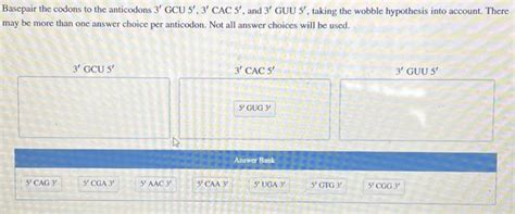 Solved Basepair The Codons To The Anticodons Chegg Com