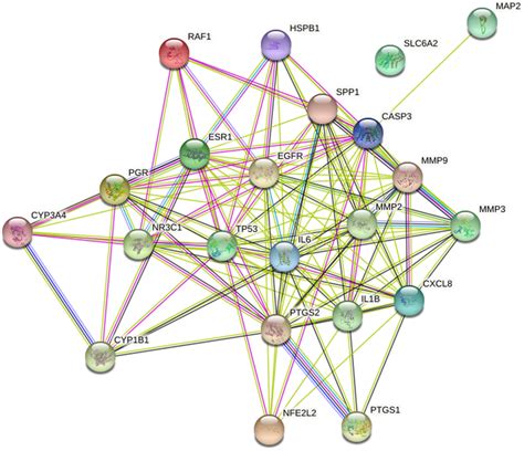 Protein Protein Interactions Diagram Download Scientific Diagram