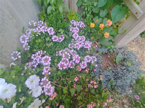 Asus Zenfone Review A Mighty Mini Phone Laptop Mag