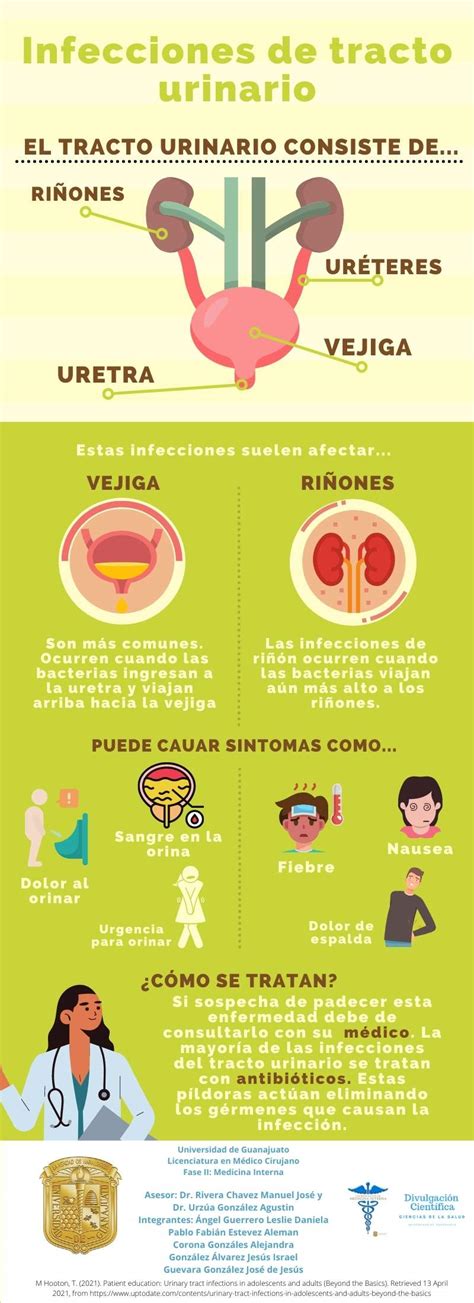 DivulgaciÓn CientÍfica Ug Infecciones De Tracto Urinario