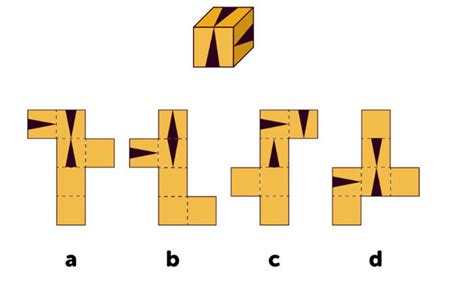 اگر این 6 سوال رو زیر سه دقیقه جواب بدی خیلی با هوشی