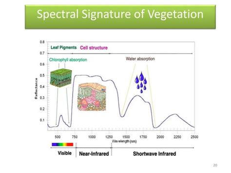 High Throughput Plant Phenotyping In Crop Improvement Pptx Agriculture Industries
