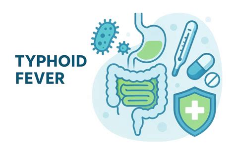Typhoid Fever Symptoms Causes Treatment And Prevention