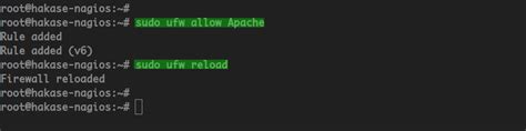How To Install Nagios Monitoring Software On Ubuntu LTS