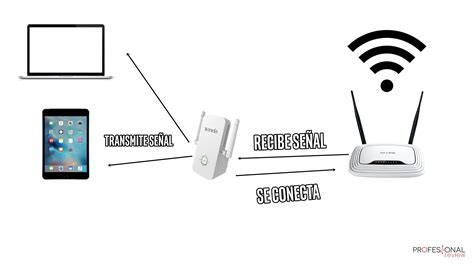 Componentes Físicos De Una Red