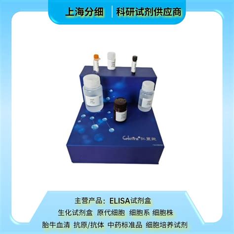 Ldh试剂盒 乳酸脱氢酶测试盒 微量法 100管 48样 免费代测