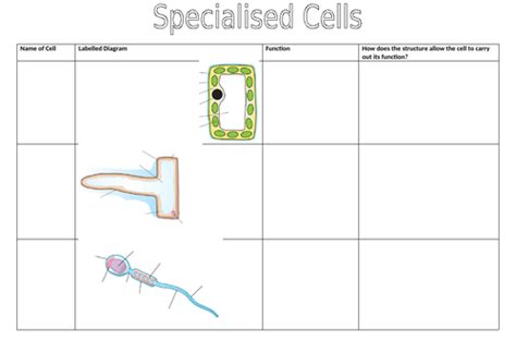 Btec L3 Applied Science Unit 1 Biology Teaching Resources