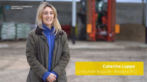 Video Giacomo Zeni On Linkedin Bugslife Bevagna Umbria Insect