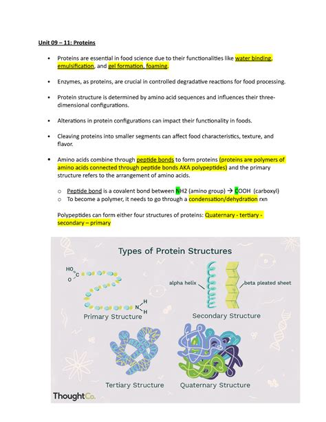 courselink unit 09 11 good intro to proteins unit 09 11 proteins proteins are essential