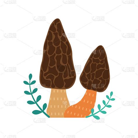 卡通风格的森林蘑菇羊肚菌图标