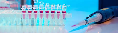 Basic Science Im Interview Wissenschaftszeitvertragsgesetz