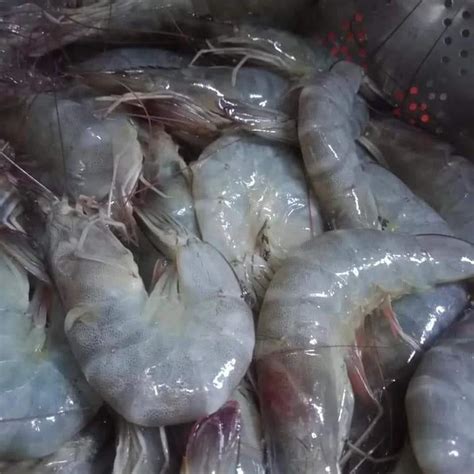 Hipon Food And Drinks Fresh Produce On Carousell