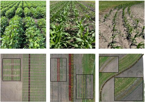 Towards Over Canopy Autonomous Navigation Crop Agnostic Lidar Based