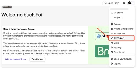 How To Install The Brevo Wordpress Plugin The Easy Way 2023 Feisworld